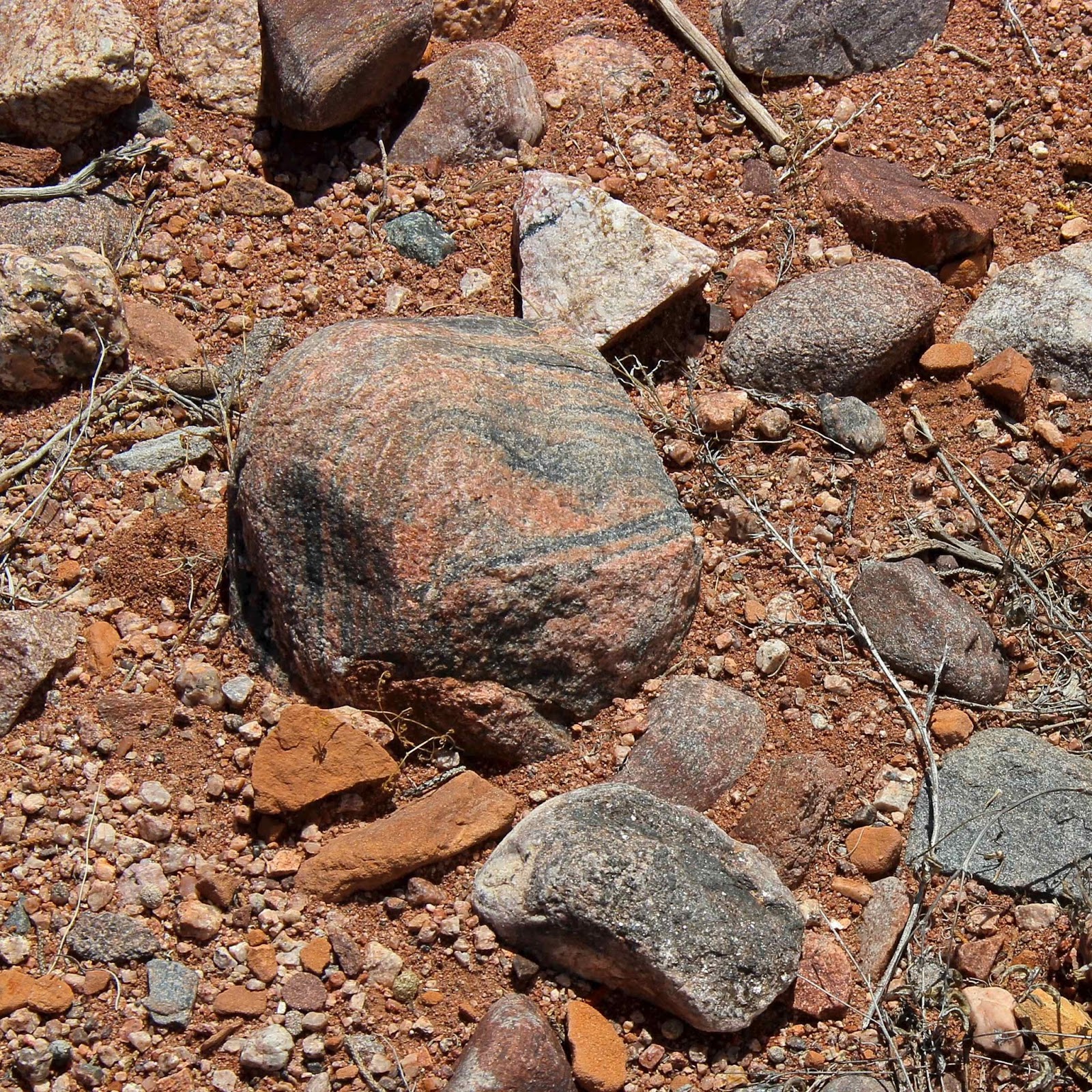 In the Company of Plants and Rocks: Beautiful Stones & Battered Relics