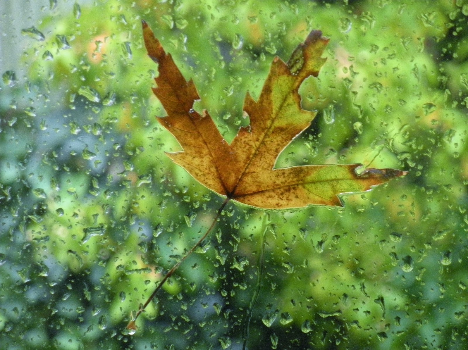 Writing Over the Threshold: Dark Clouds and Slow Rain