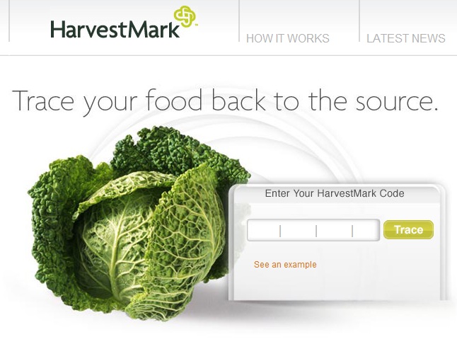 Fanatic Cook: June 2011