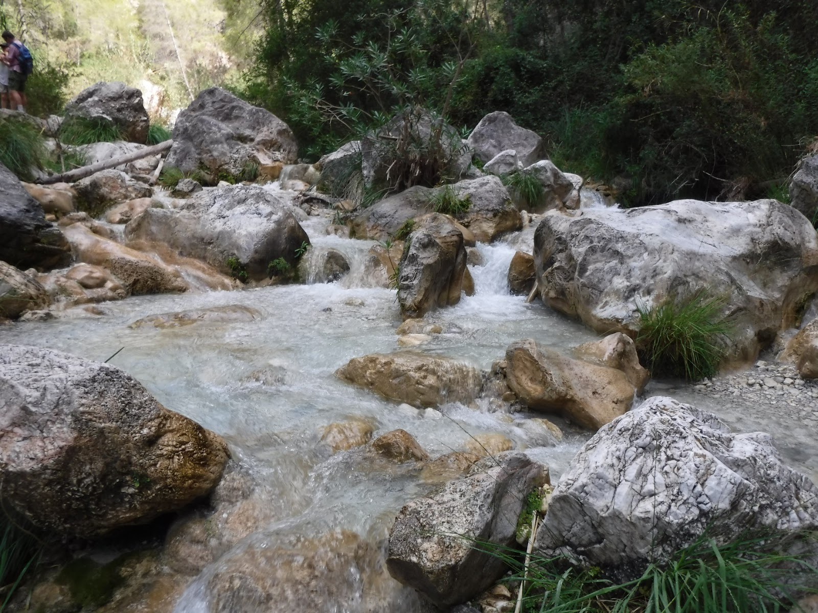 Senderismo Carlos y Petra: SENDERO RIO CHILLAR NERJA