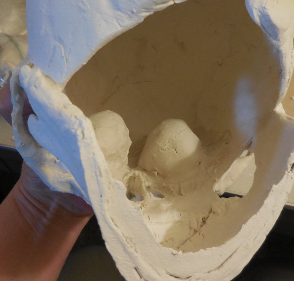 Creative Paperclay® air dry modeling material: Simplified Skull Model ...