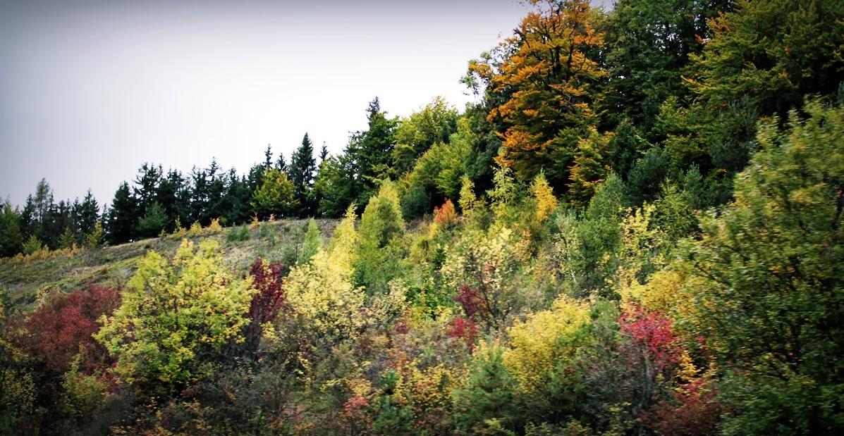 Paprasti vaizdai: Rudens spalvos