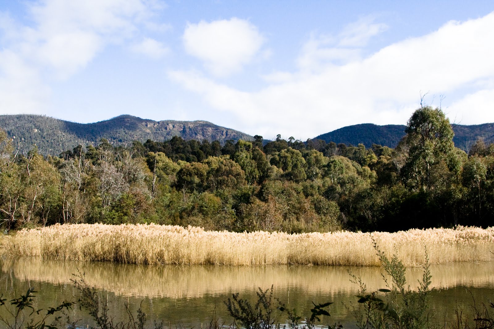 JL Photography: Tidbinbilla Nature Reserve