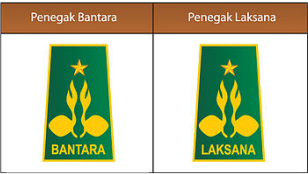 Pramuka Penegak | Pramuka | Kumpulan Soal Ujian Terbaru