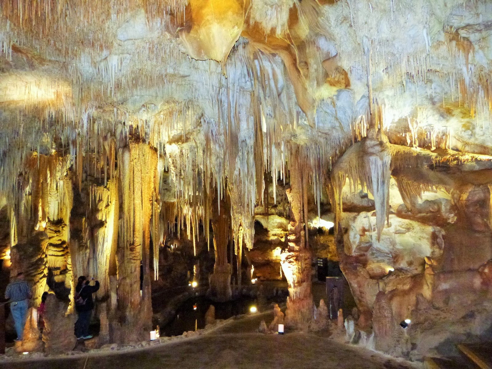 South Australia: Tantanoola Caves