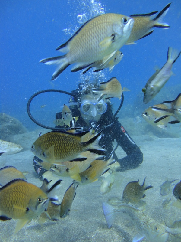 Canary Islands: Wildlife and Marine life