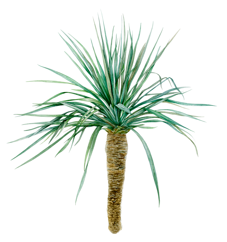 Histórias a lápis: O Chão das Artes