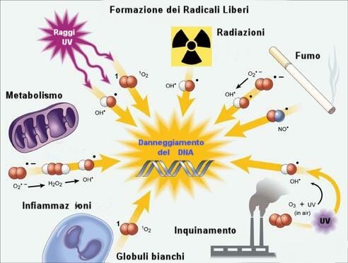 Medichesse di Clo: Radicali liberi