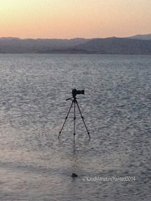 Kandylane Enchanted: The Enchanted Elements (#27 & #28)