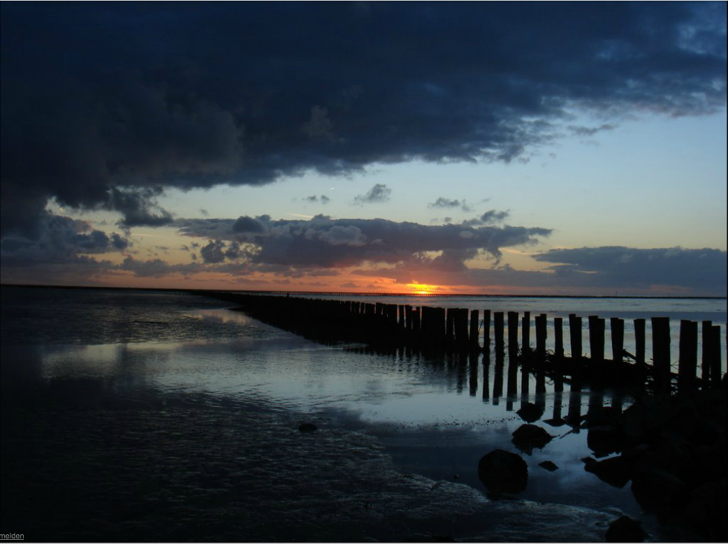 Hermans Ameland: 42 Het wad bij Holwerd