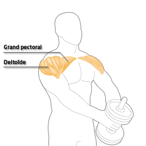 Muscle & Fitness : Programme musculation épaules