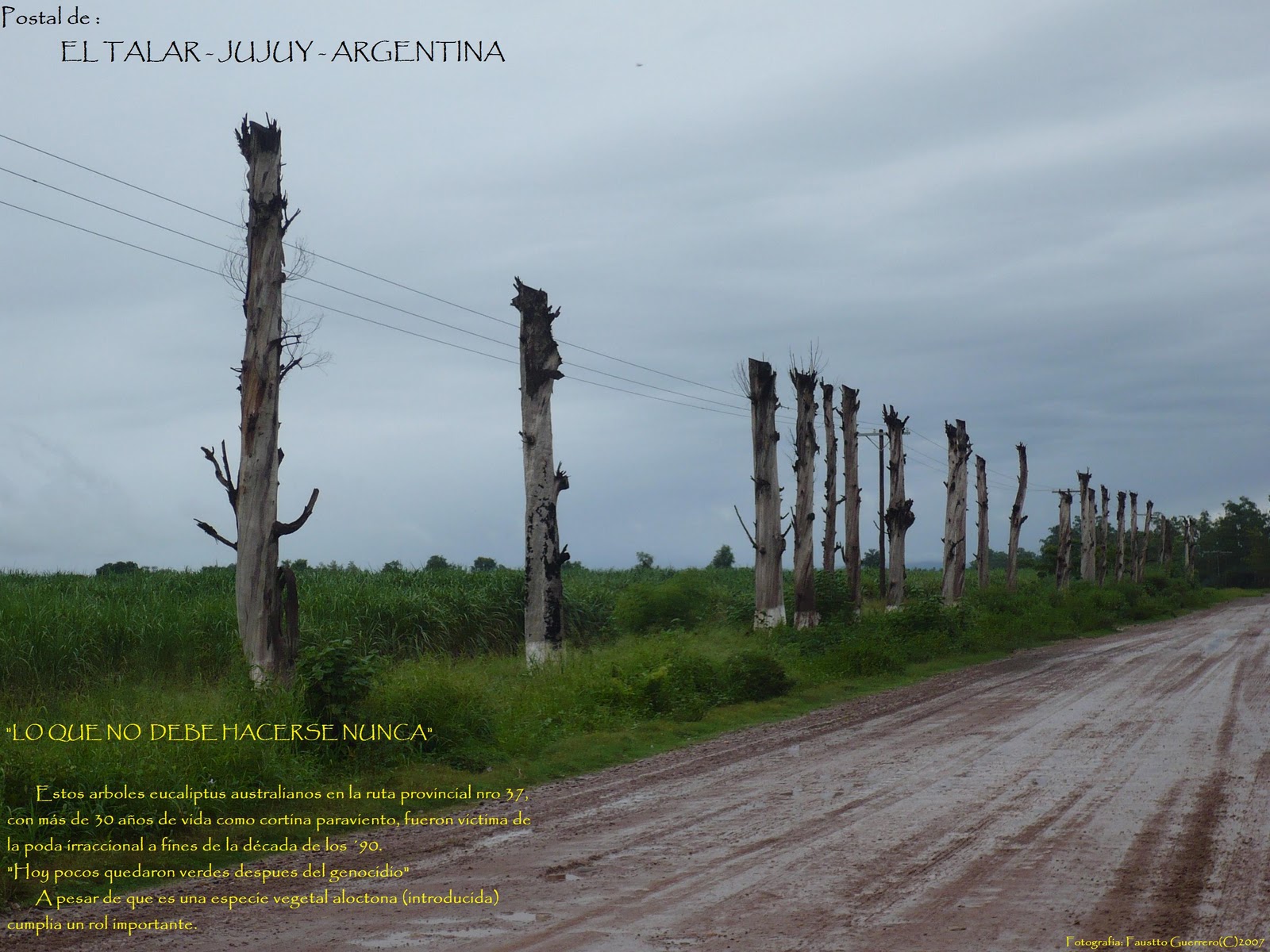 El Talar Jujuy: Postales de El Talar