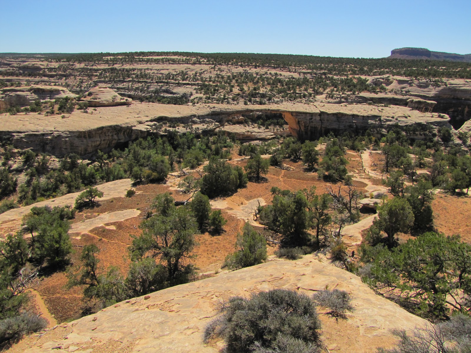 To Behold the Beauty: 10/1/11 - 11/1/11