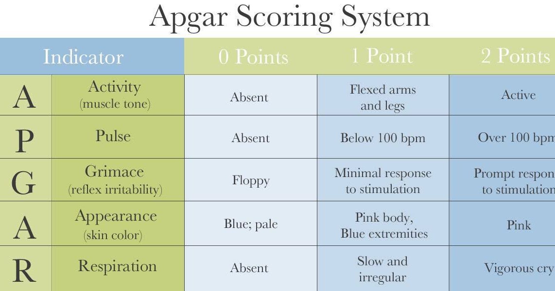 Apgar Scoring System