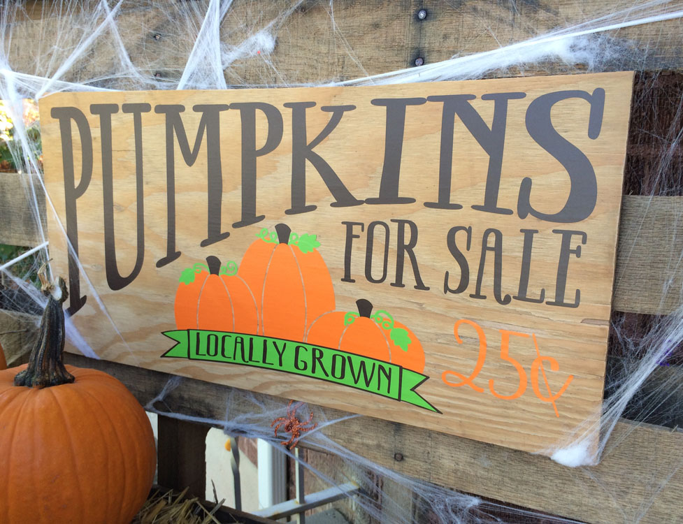 Pumpkins for Sale Sign - Burton Avenue
