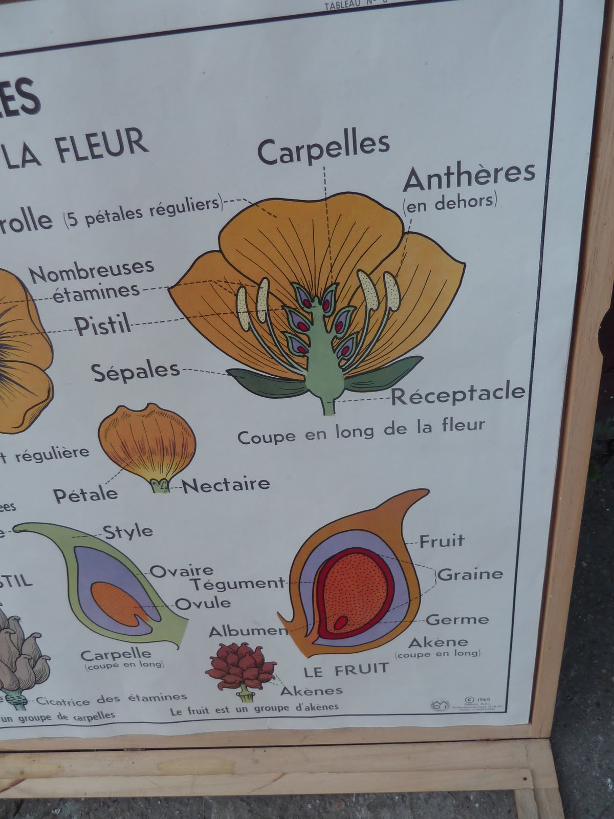 Ecole FMR 1000 Affiches scolaires: Mdi anncienne affiche scolaire les ...