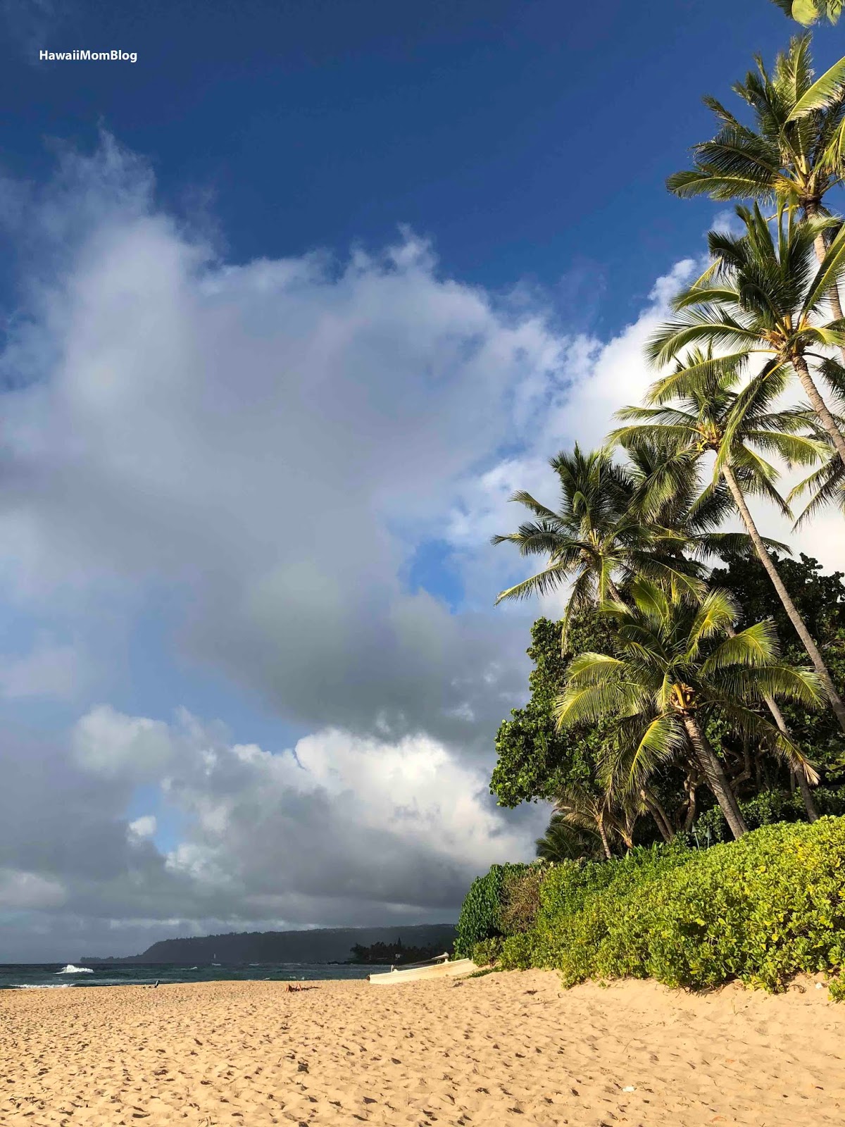 Hawaii Mom Blog: Papailoa Beach