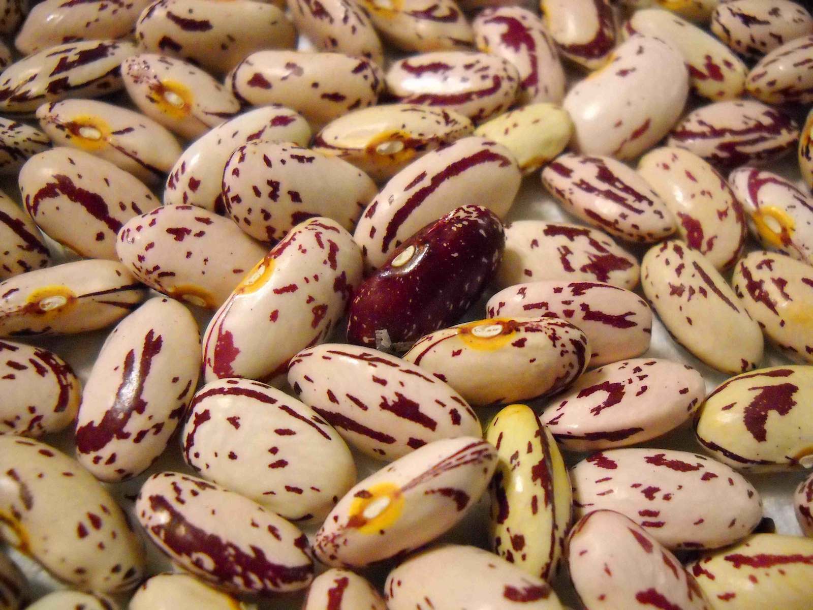 Burger Please; Hold the Soy.: Thinking Ahead