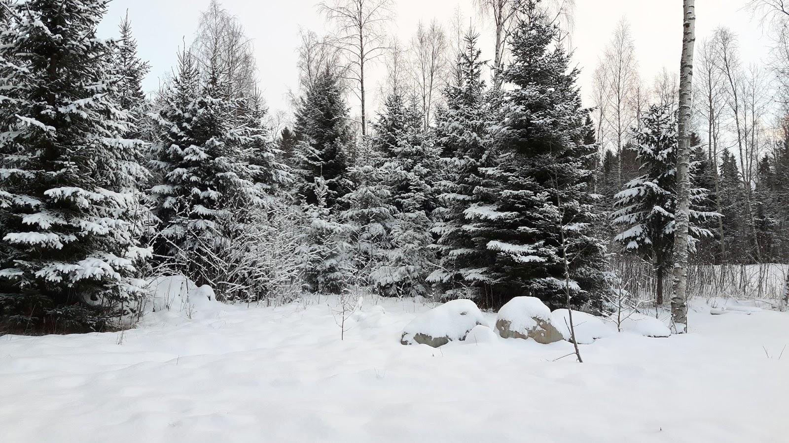 cias1975: 3 dec. 2016