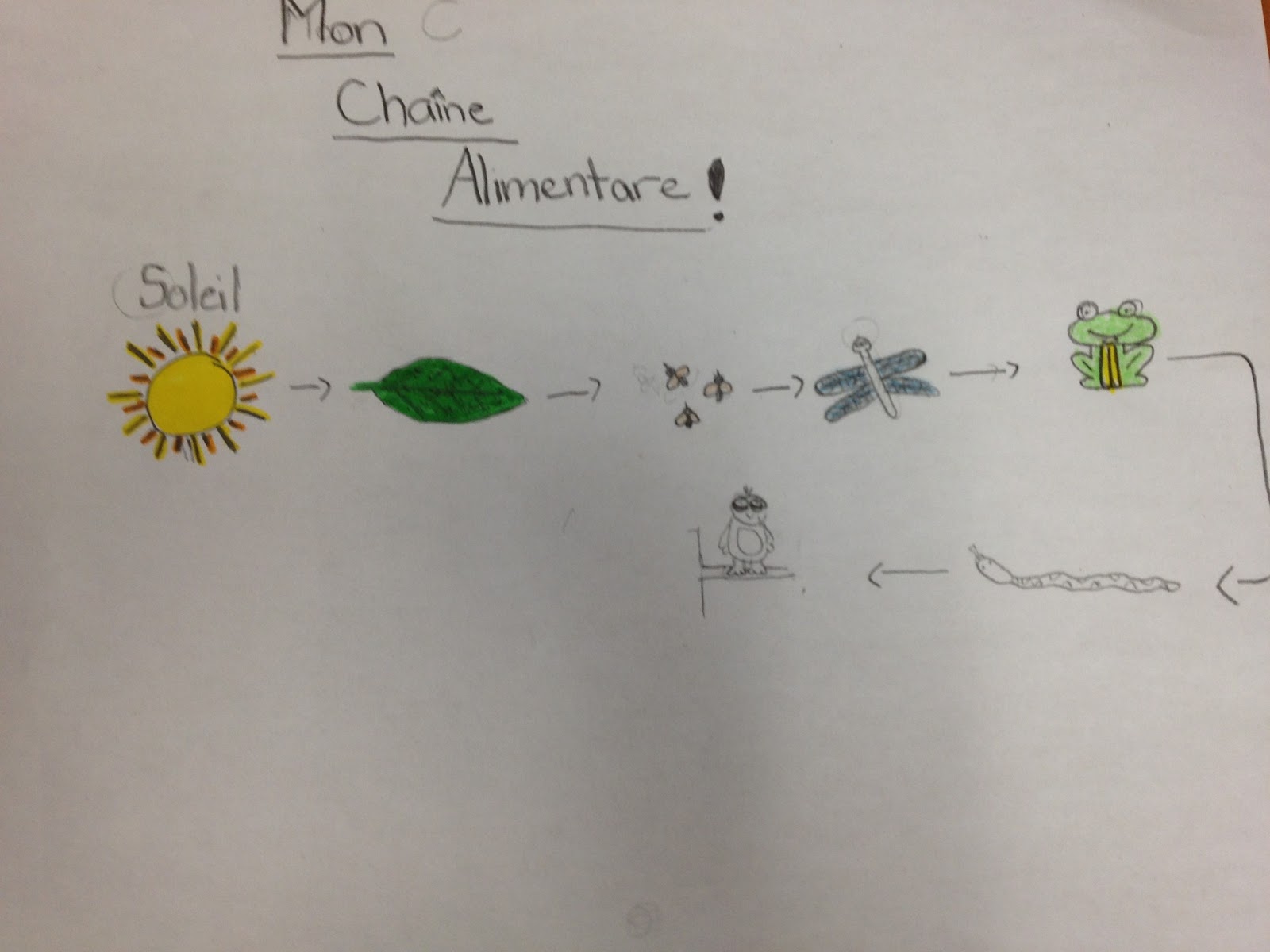French is Fun: Fun With "les chaînes alimentaires" (food chains)