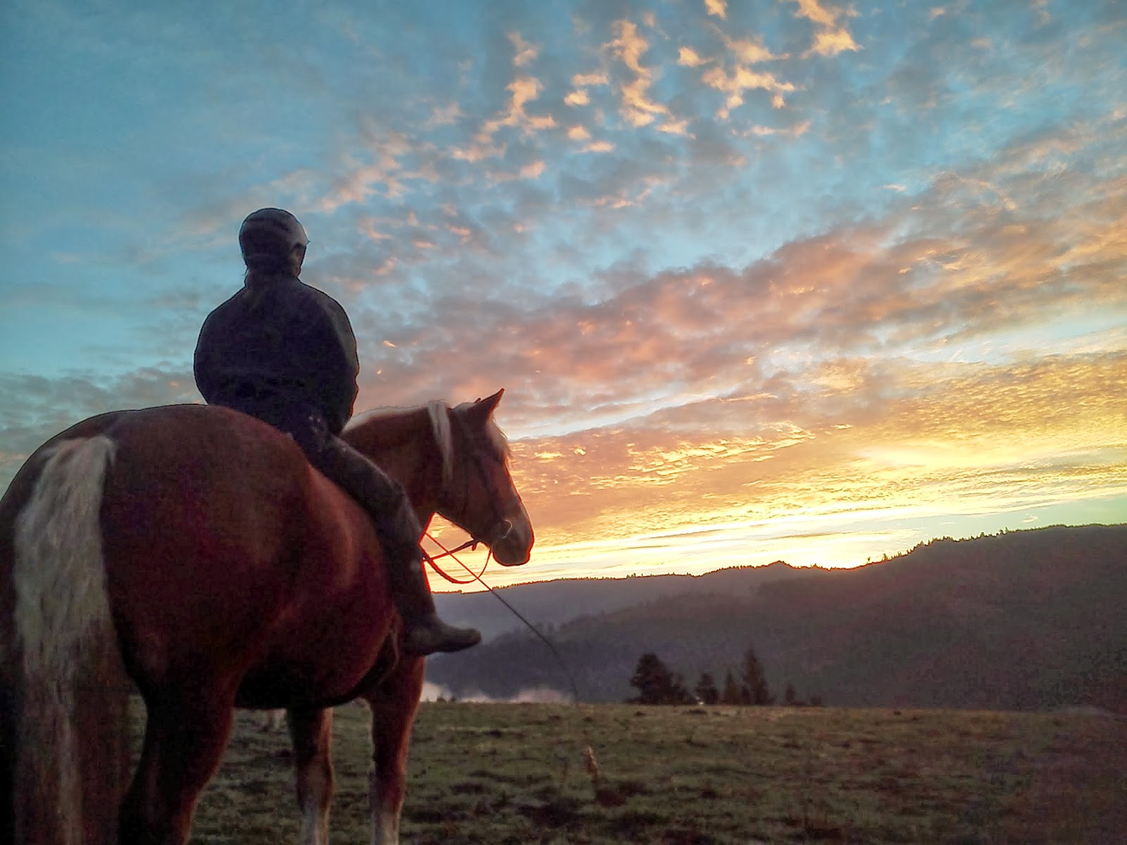 Jackson Hill Horsey Girl: 2013