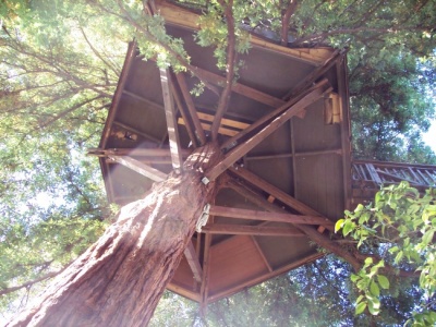 It's a Co-op: Lothlorien & the limits of sustainability