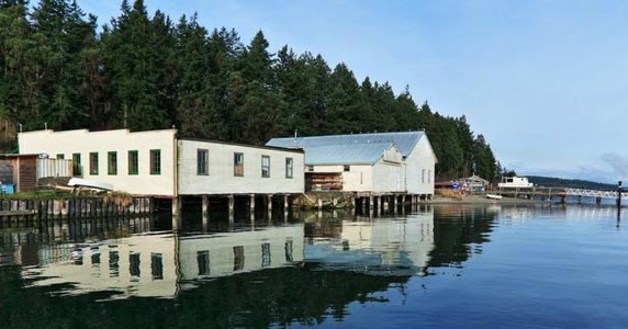 611 Cedar Residential Community in Port Hadlock, WA: Town