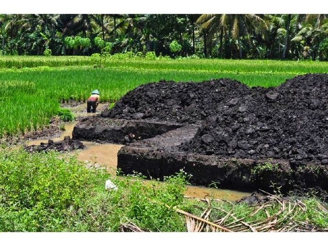 Tipe Klasifikasi Tanah Gambut - Geograph88