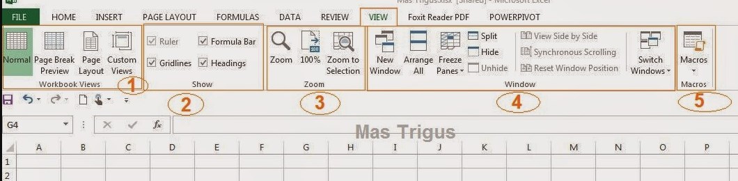 Fungsi Menu-Menu Tab pada Excel 2013 | Blog Pelatihan Komputerb Dasar1