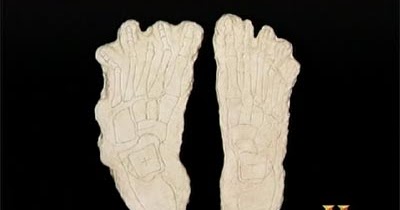 A Guide to Bigfoot: Bigfoot Cripple Foot Tracks