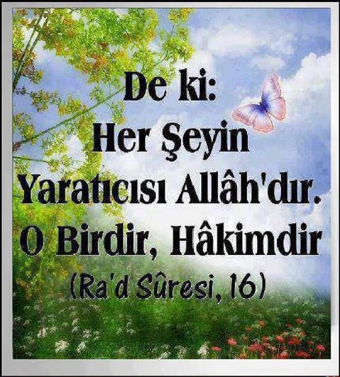 AYETLER HADİSLER VE ÖZLÜ SÖZLER-1: AYETLER HADİSLER VE GÜZEL SÖZLER-292