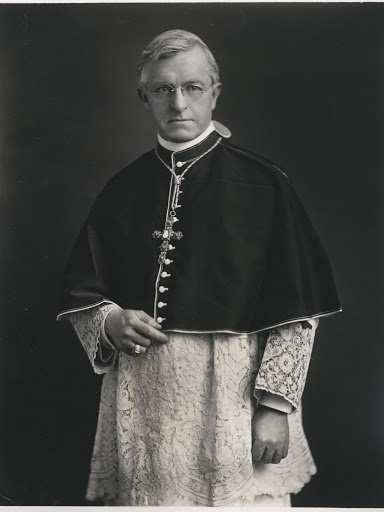 Prelatial Dress of the Religious Orders: The Dominicans ~ Liturgical ...