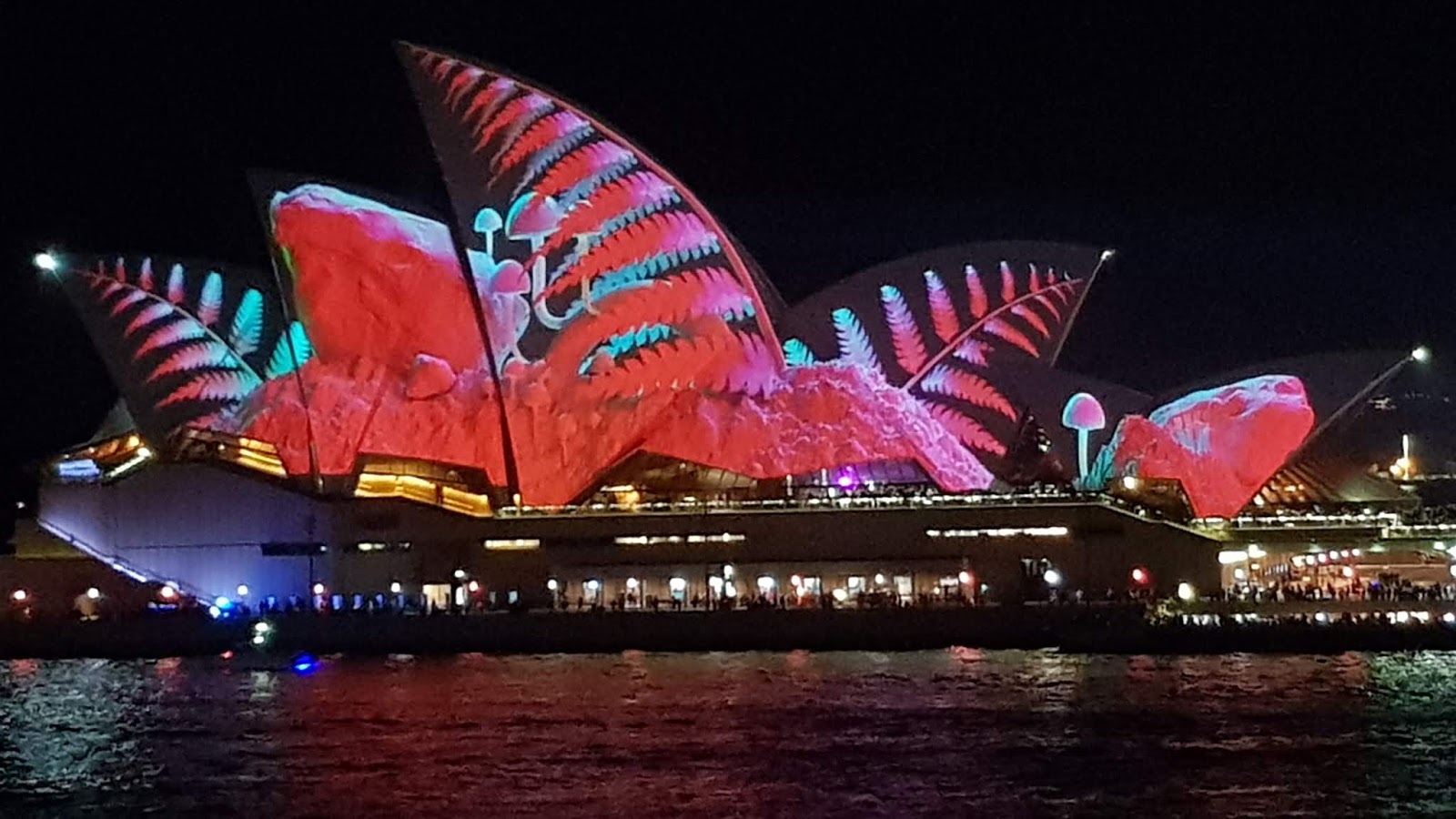 Sydney - City and Suburbs: Sydney Opera House, Vivid Sydney, Lighting ...