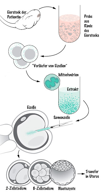 Scivias: Dubiose Versprechungen der Pharmafirma OvaScience ...