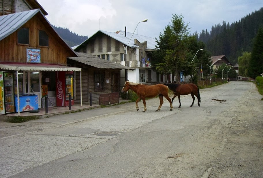 Fotografiile zilei - ORASUL BROSTENI