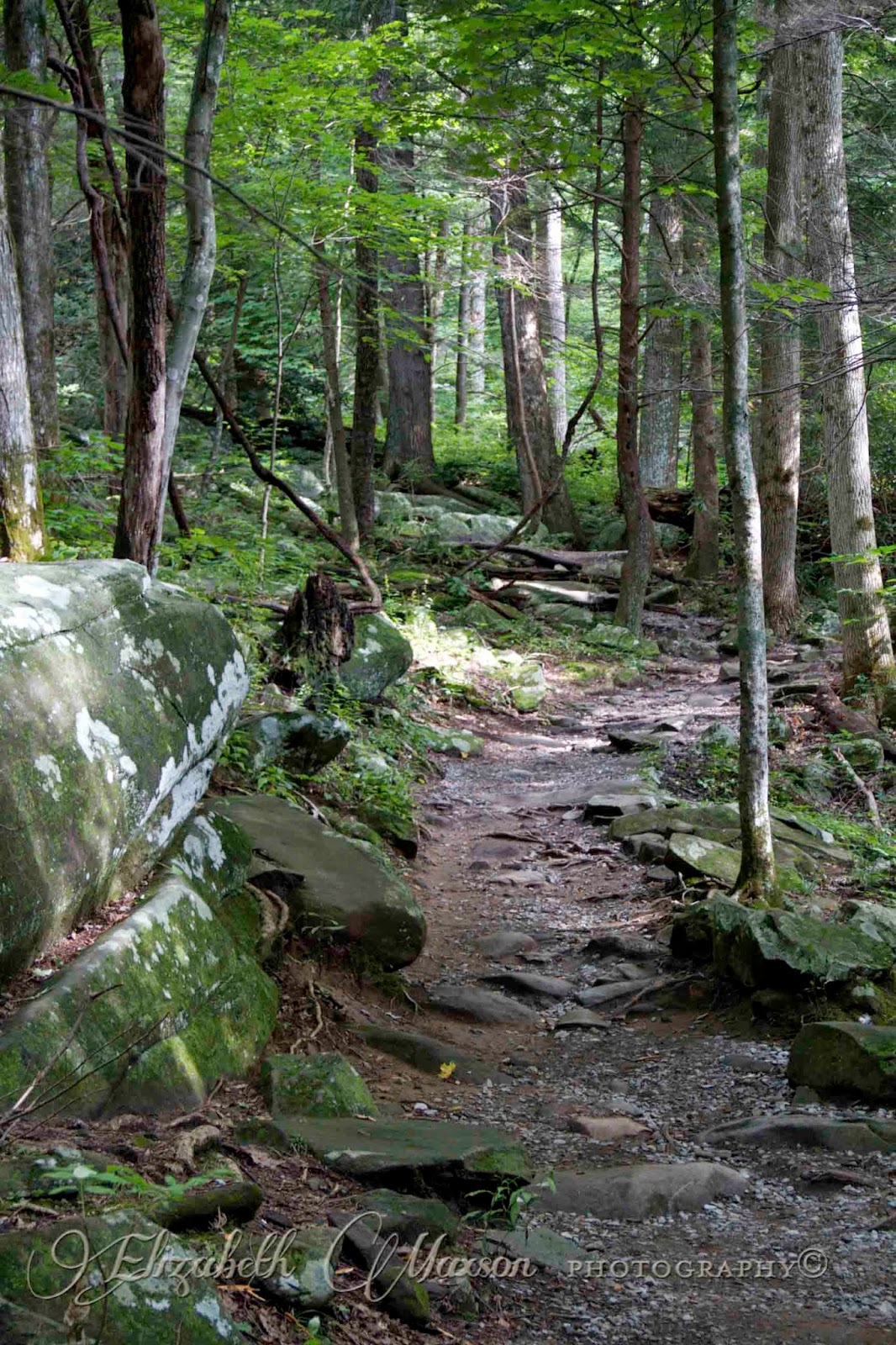 The Adventures of Elizabeth: Some Pathways Need Passing