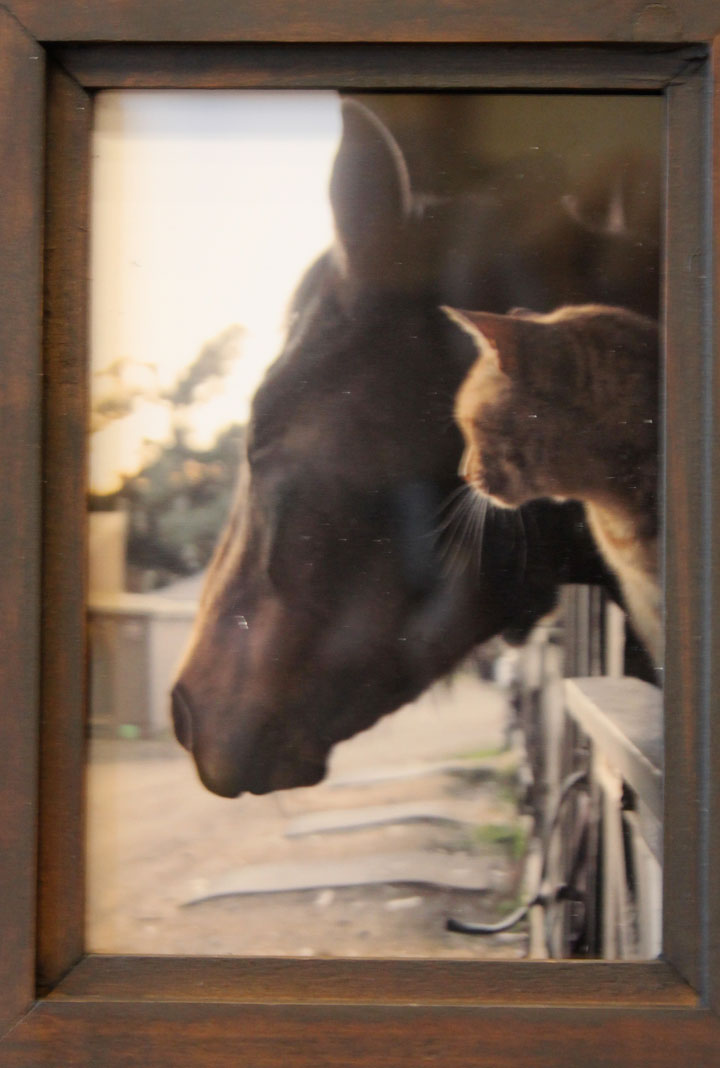 Lucasfilm Animation Benefit Art Auction