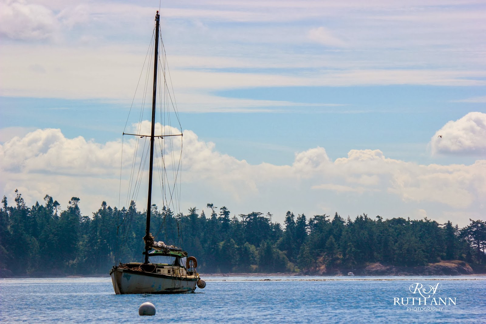 Musings of a Cowgirl: September 2013