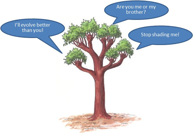 The Daily Plant: What's an individual?