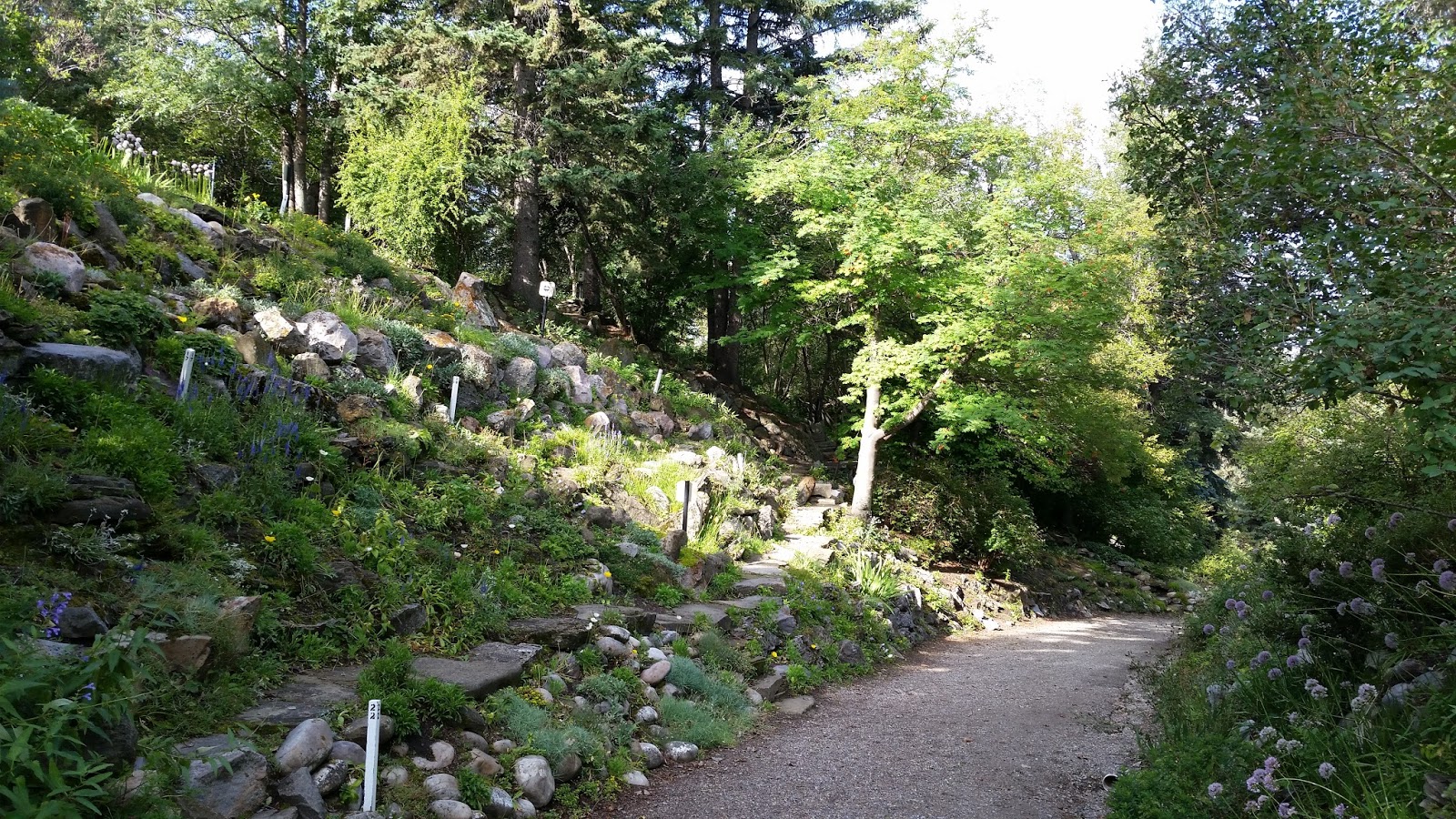 Renaissance Men: Calgary Parks; Reader Rock Garden