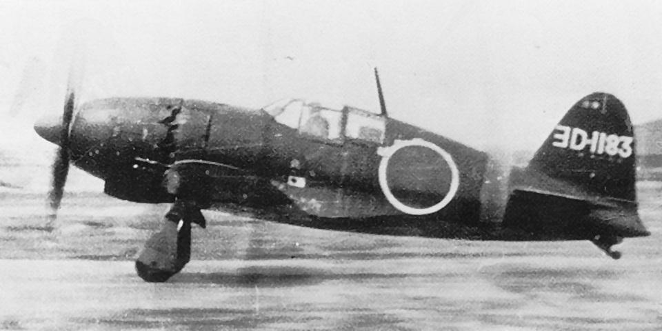 Aviation of Japan 日本の航空史: Michael Thurow's Tamiya Raiden in 1/48