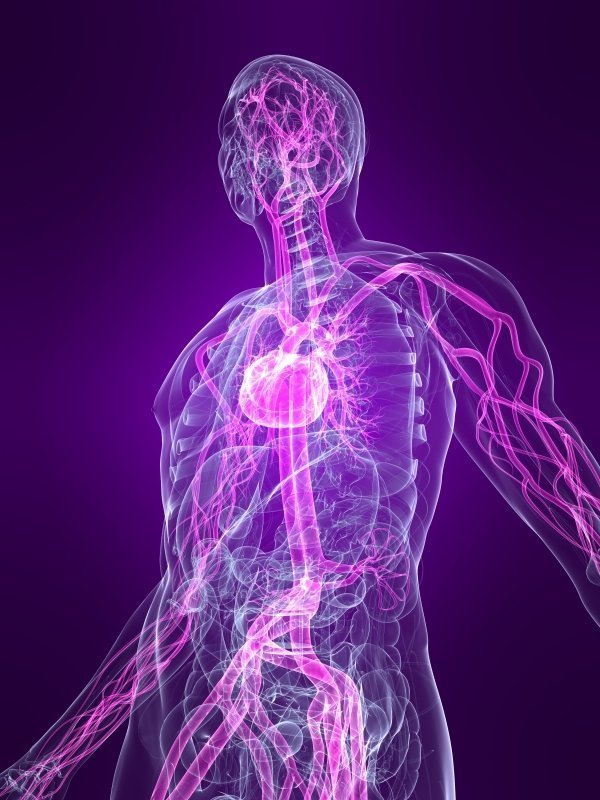 101 Interesting facts about the Human Body ~ General Knowledge