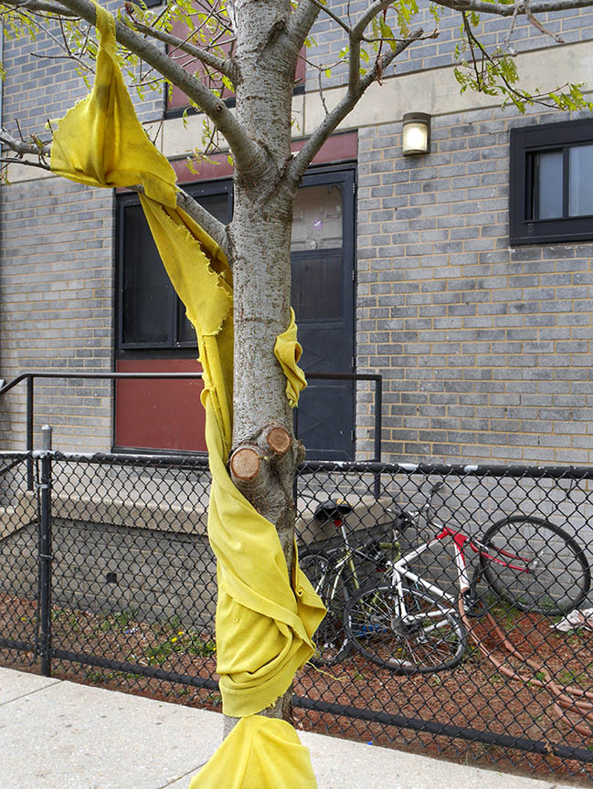 Washington's Other Monuments: Marcus Troy Alston | 2700 block of ...