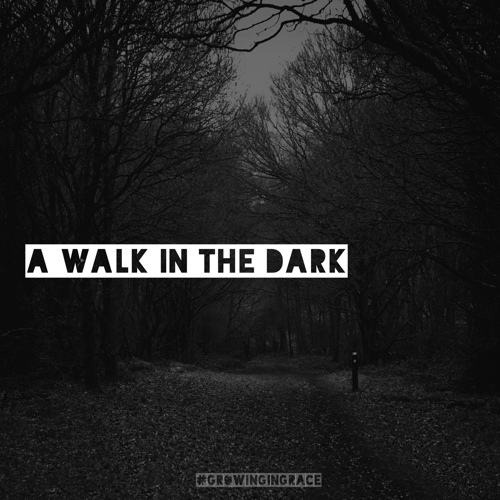 Growing in Grace: A Walk In The Dark