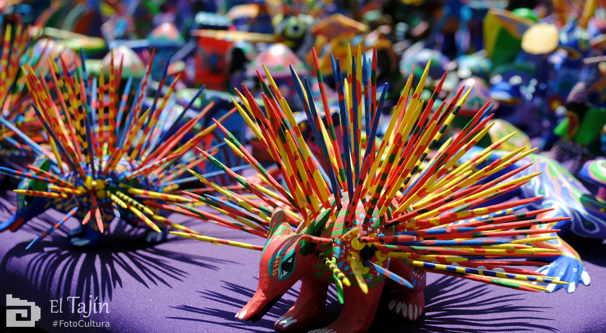 Oaxaca. La magia del color. | Tajín Álvarez "Documentación Fotográfica"