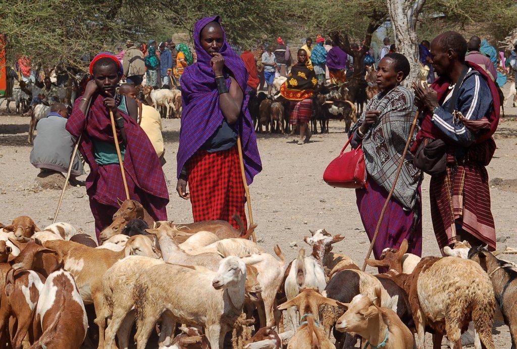 .: La estación de las lluvias con los Mangatis.