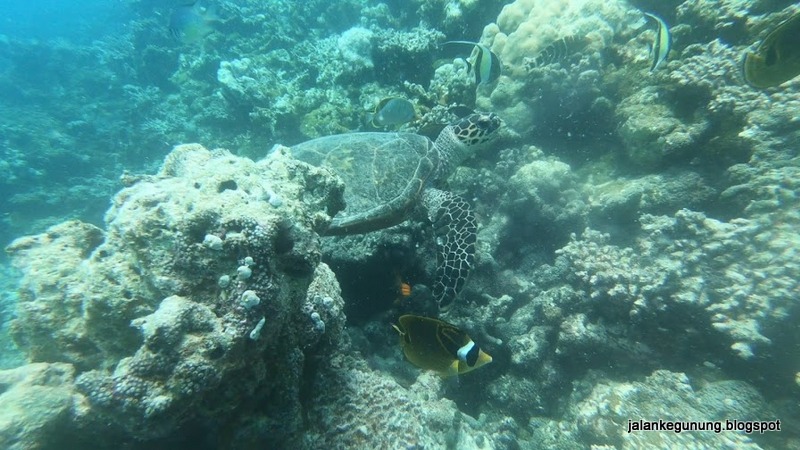 Jalan Ke Gunung: Maldives permata di Lautan Hindi