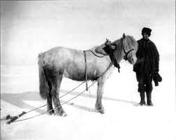The History Girls: My Hero: A Second Class Boy. Tom Crean, Antarctic ...