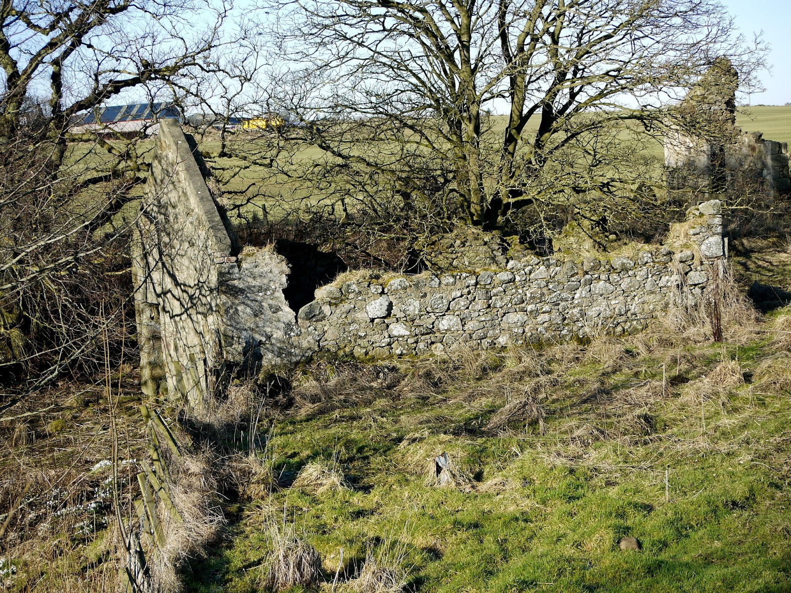 Walking The Line: Lonmay Station, through Spillarsford to Craigellie