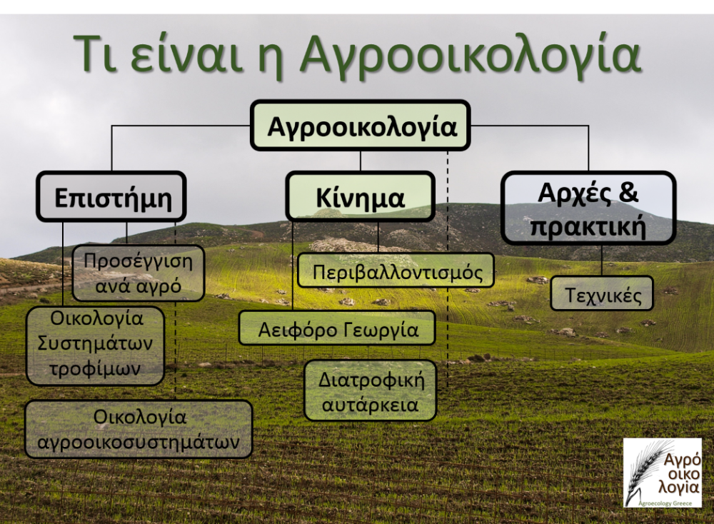 ΑΚΑΝΘΟΧΟΙΡΟΣ: ΤΙ ΕΙΝΑΙ Η ΑΓΡΟ-ΟΙΚΟΛΟΓΙΑ.....